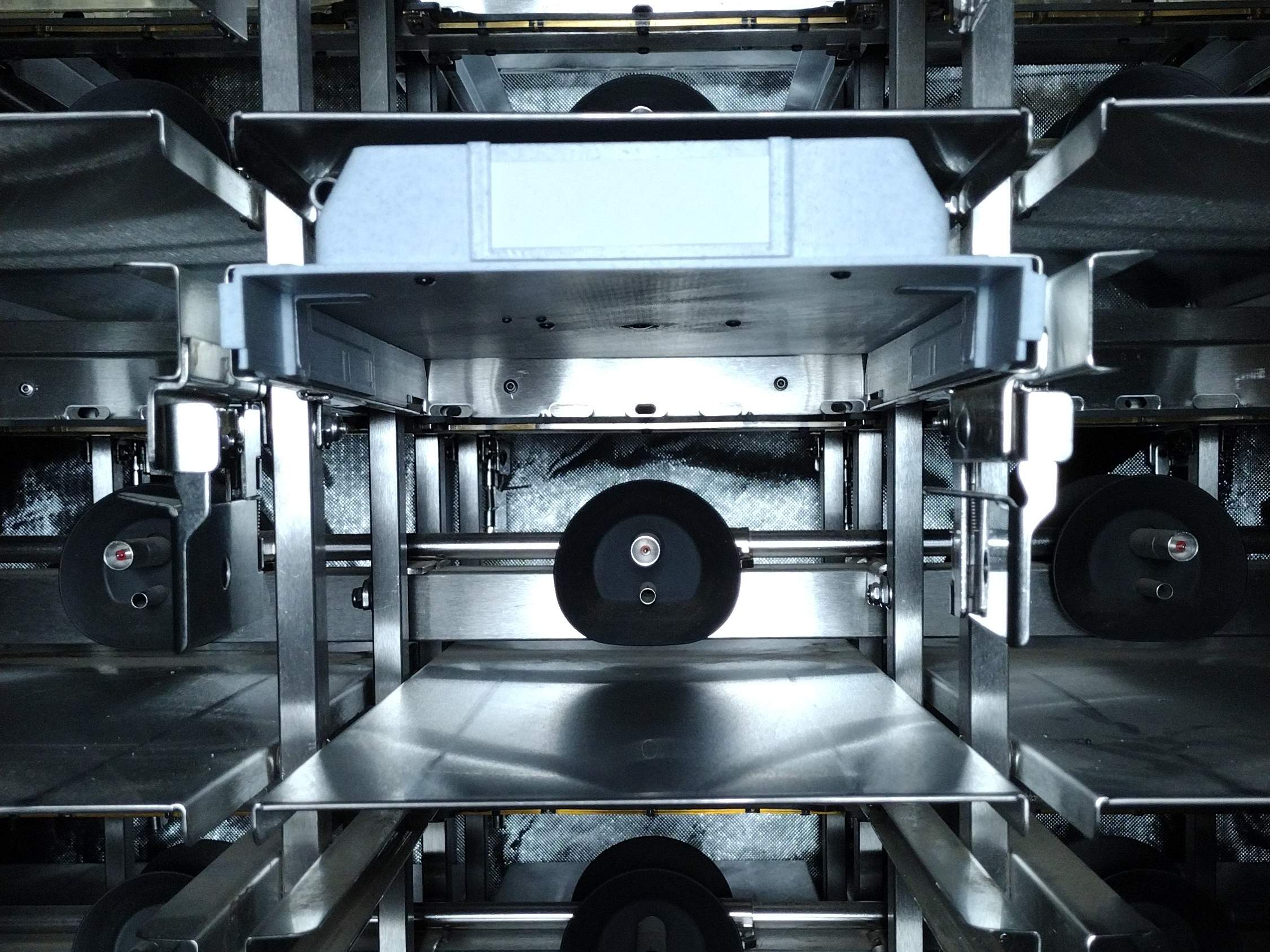 Dome for Allentown Mouse Jag75 - Olden Labs