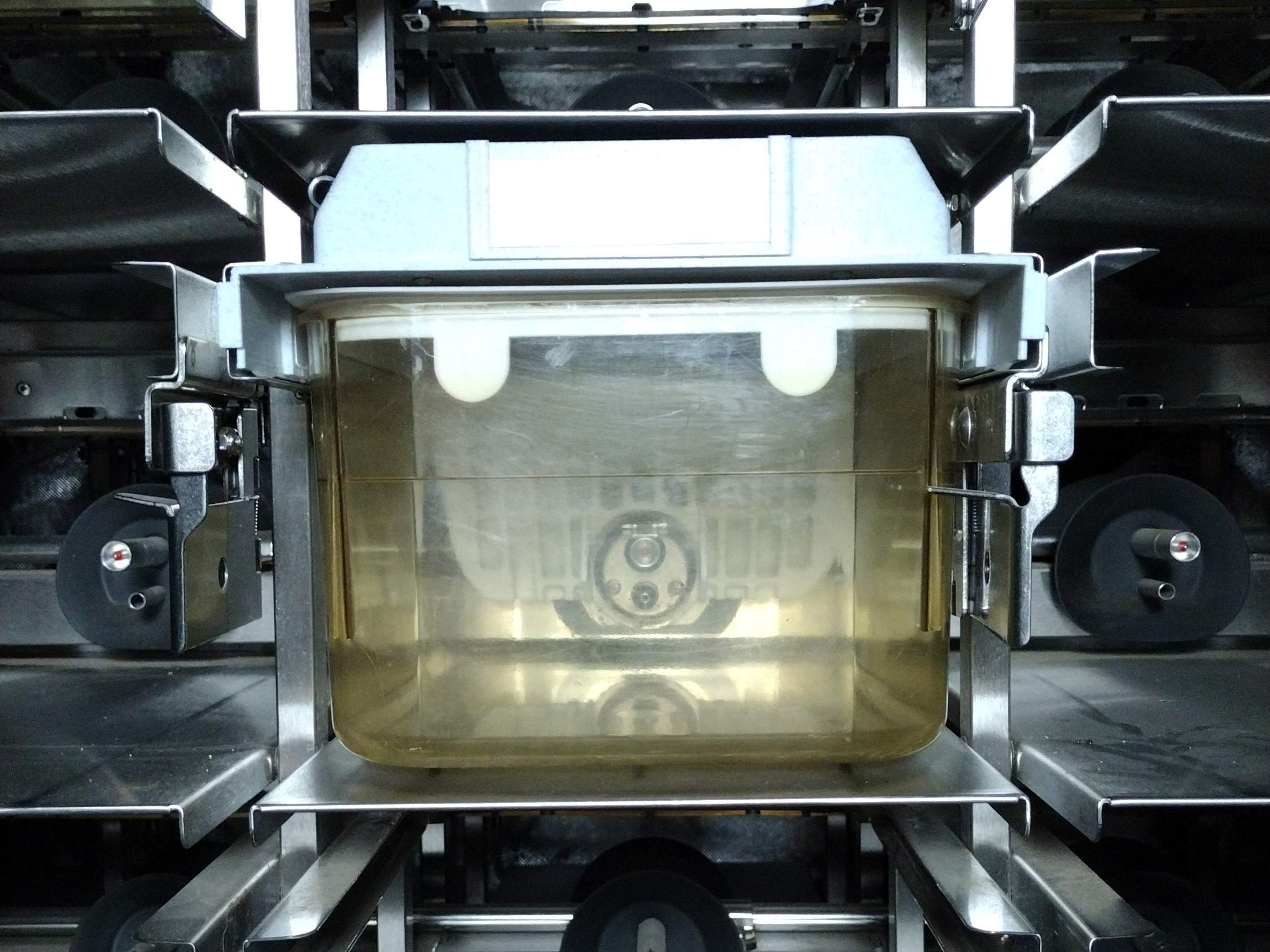 Dome for Allentown Mouse Jag75 - Olden Labs